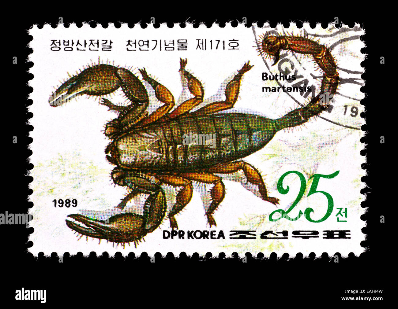 Chinese Scorpion Symbol