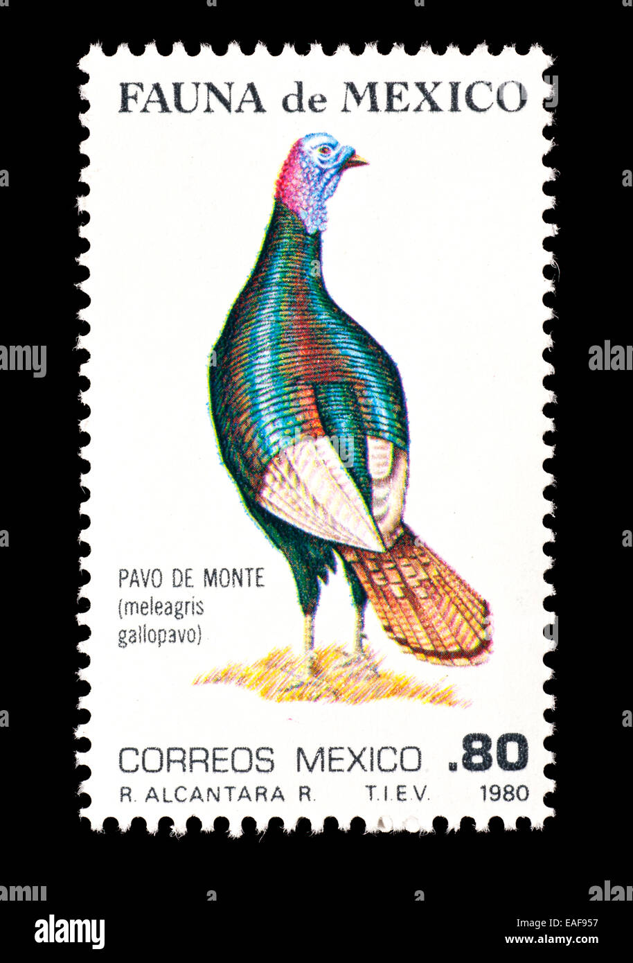 Postage stamp from turkey depicting hi-res stock photography and images ...