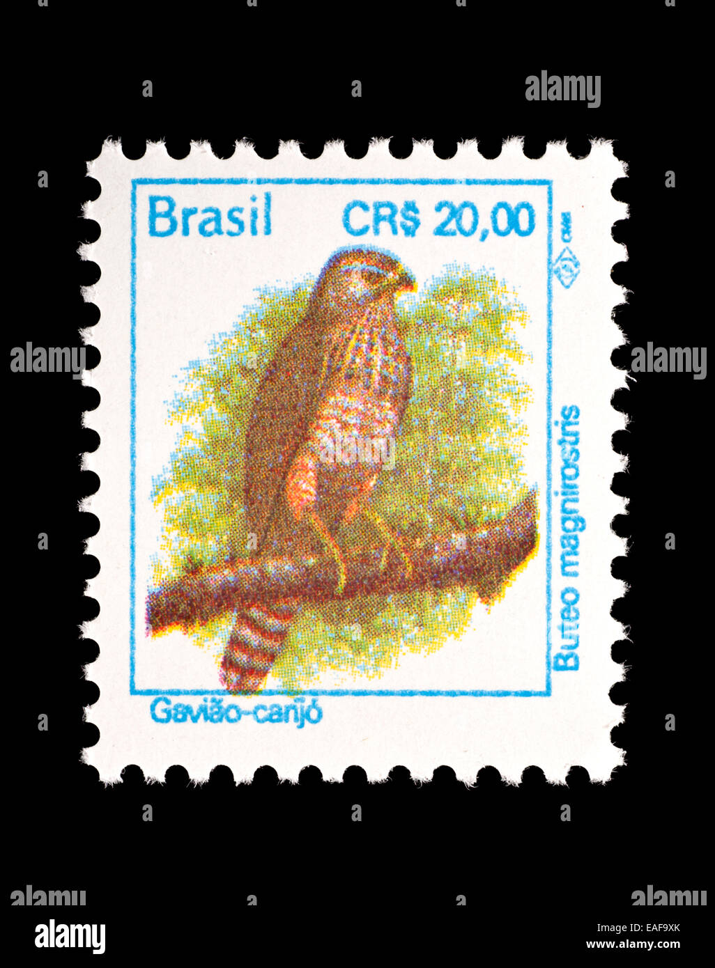 POstage stamp from Brazil depicting a roadside hawk (Rupornis ...