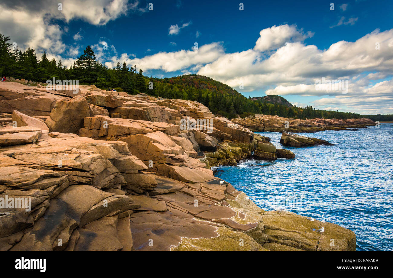 Otter Cliffs and the Atlantic Ocean in Acadia National Park, Maine ...
