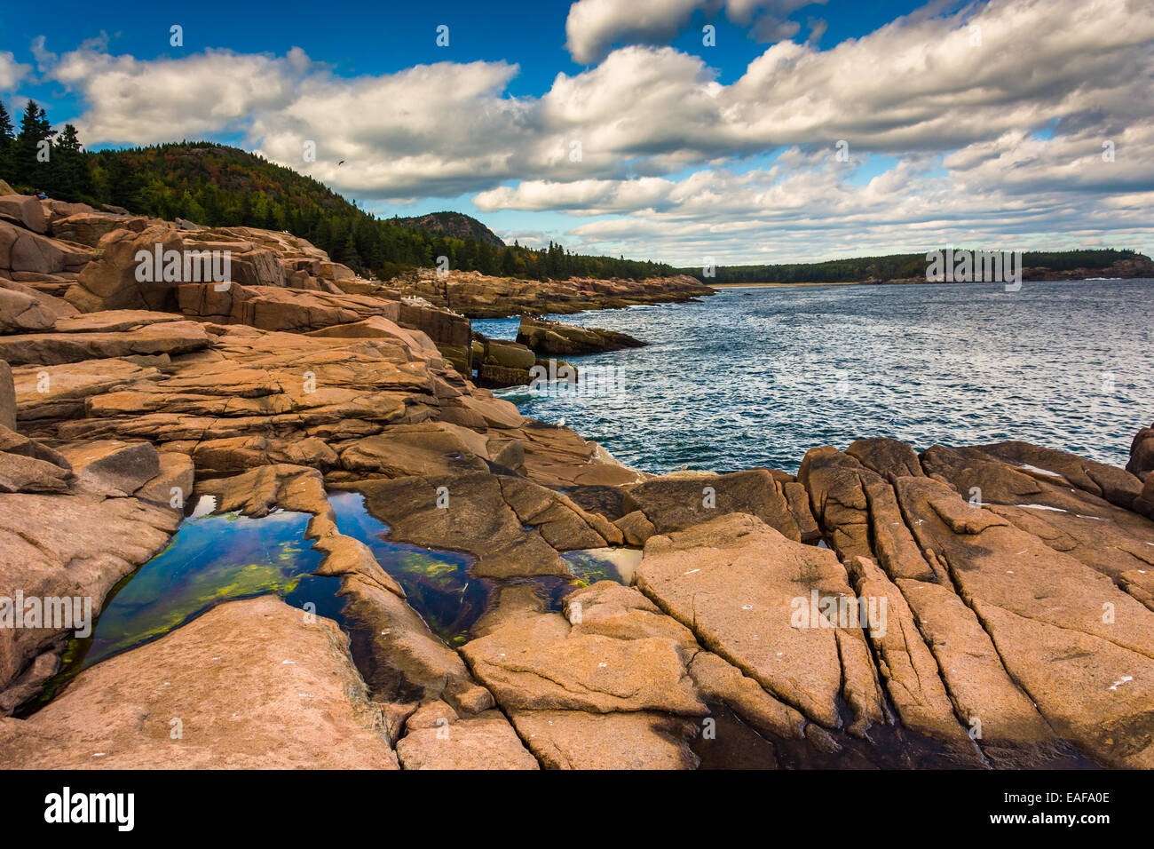 Otter Cliffs and the Atlantic Ocean in Acadia National Park, Maine ...