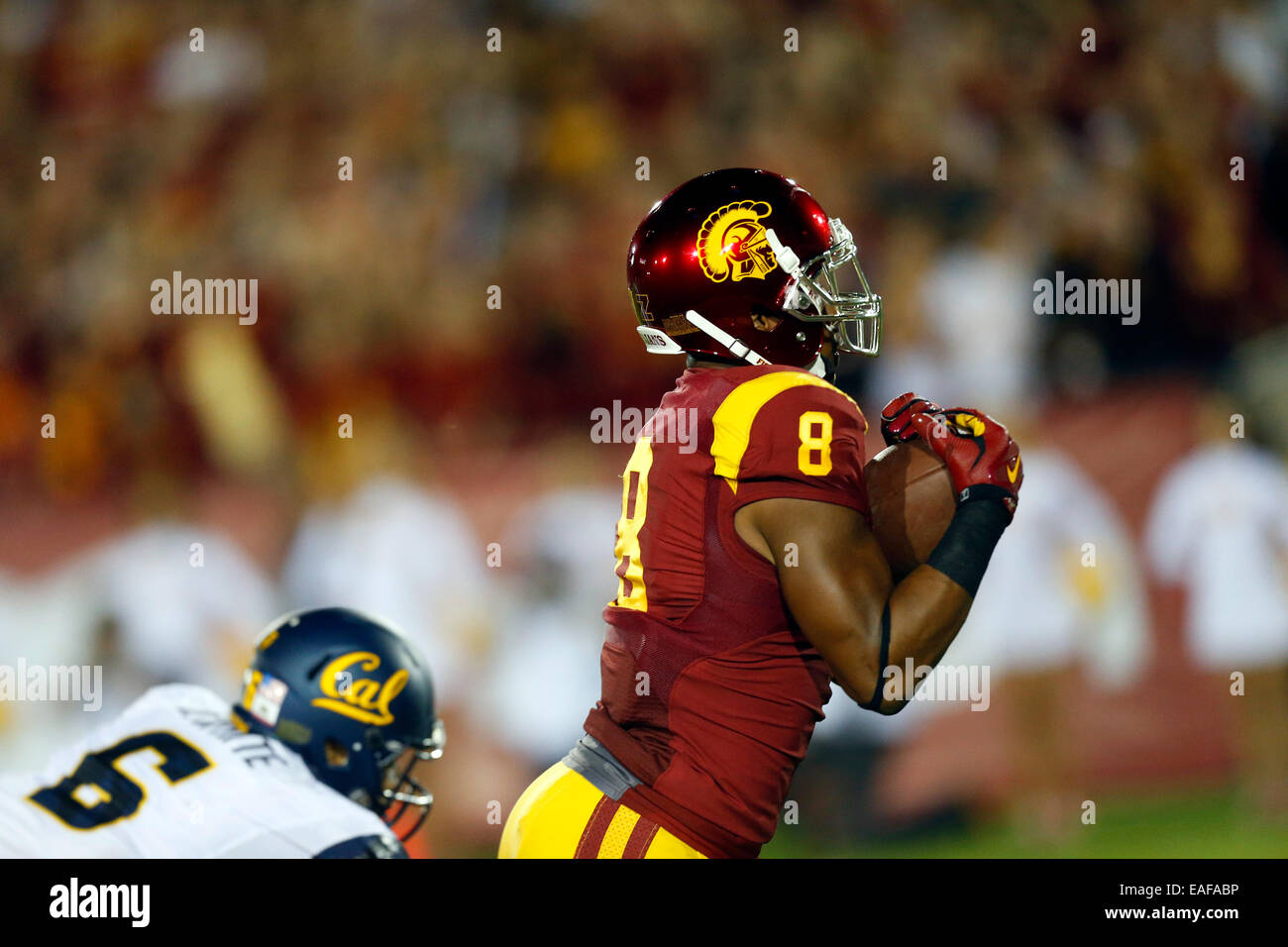 George farmer bears hi-res stock photography and images - Alamy