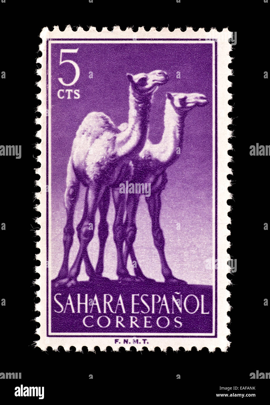 Postage stamp from Spanish Sahara depicting a Dromedary camel (Camelus ...