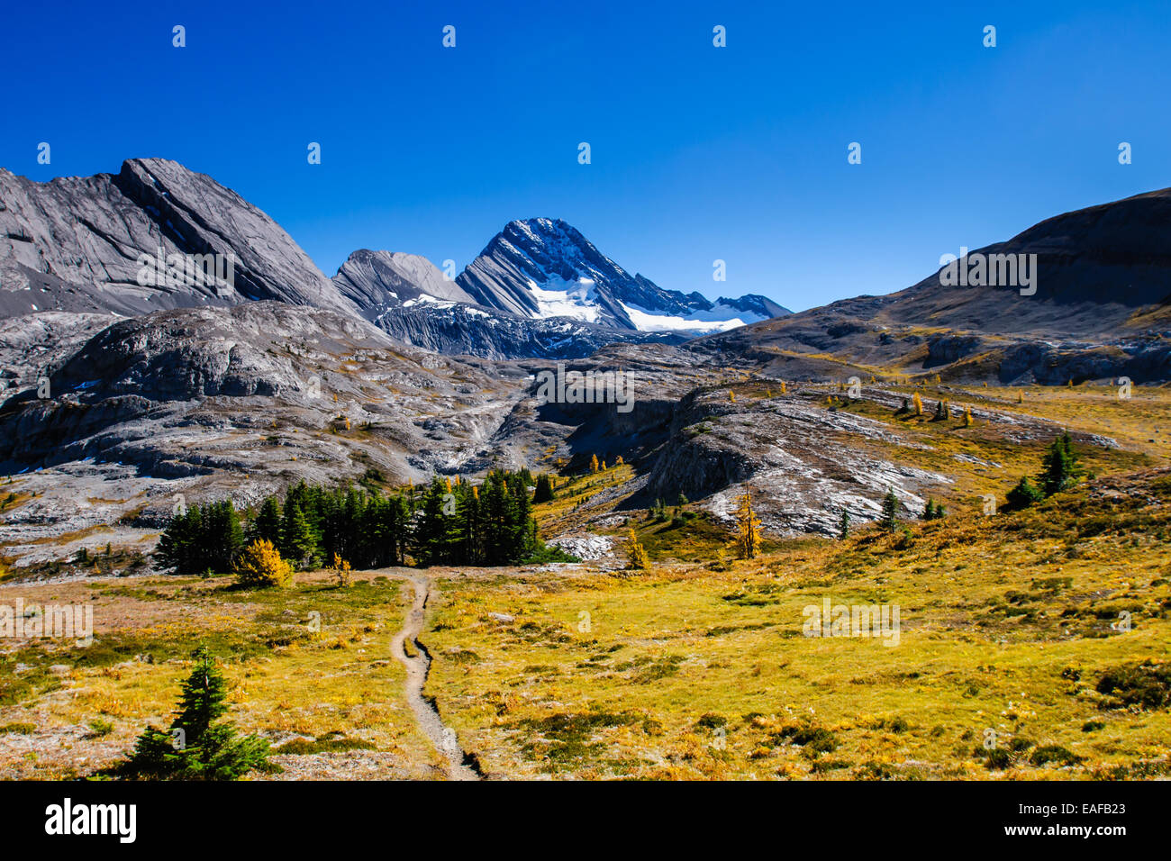 Scenic Landscapes of a high mountain valley and golden Larch Trees ...