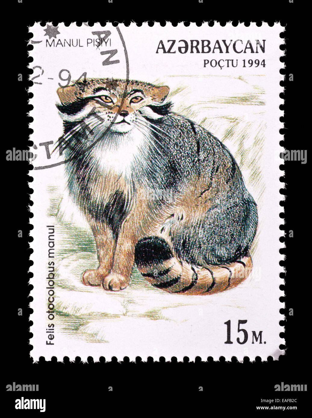Postage stamp from Azerbaijan depicting a housecat, breed Manx Stock ...