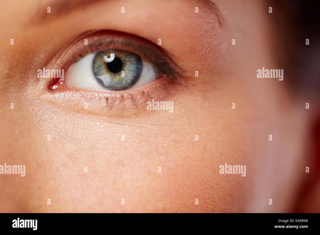 Human eye looking at you Stock Photo - Alamy