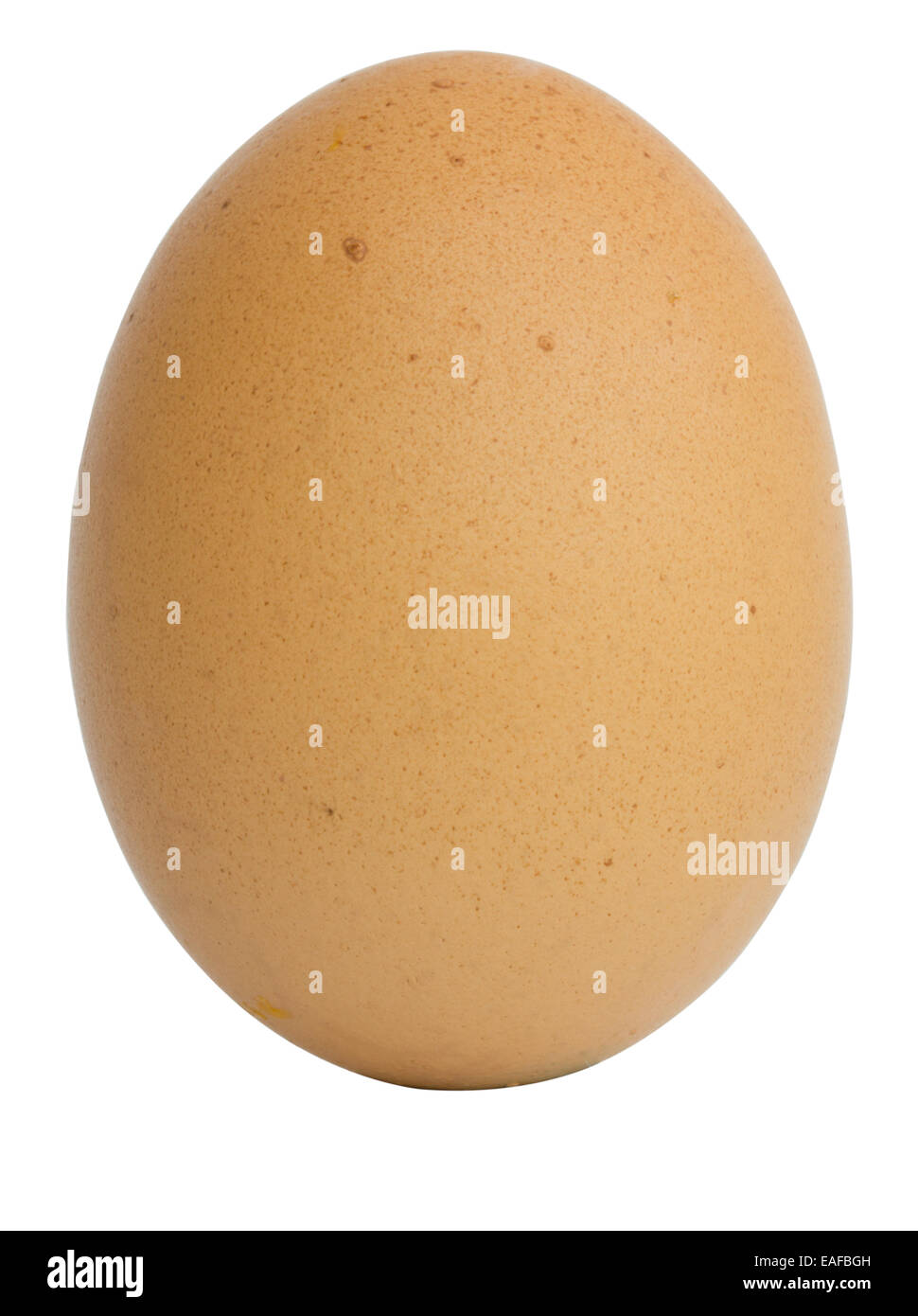 Single brown chicken egg isolated on white background Stock Photo - Alamy
