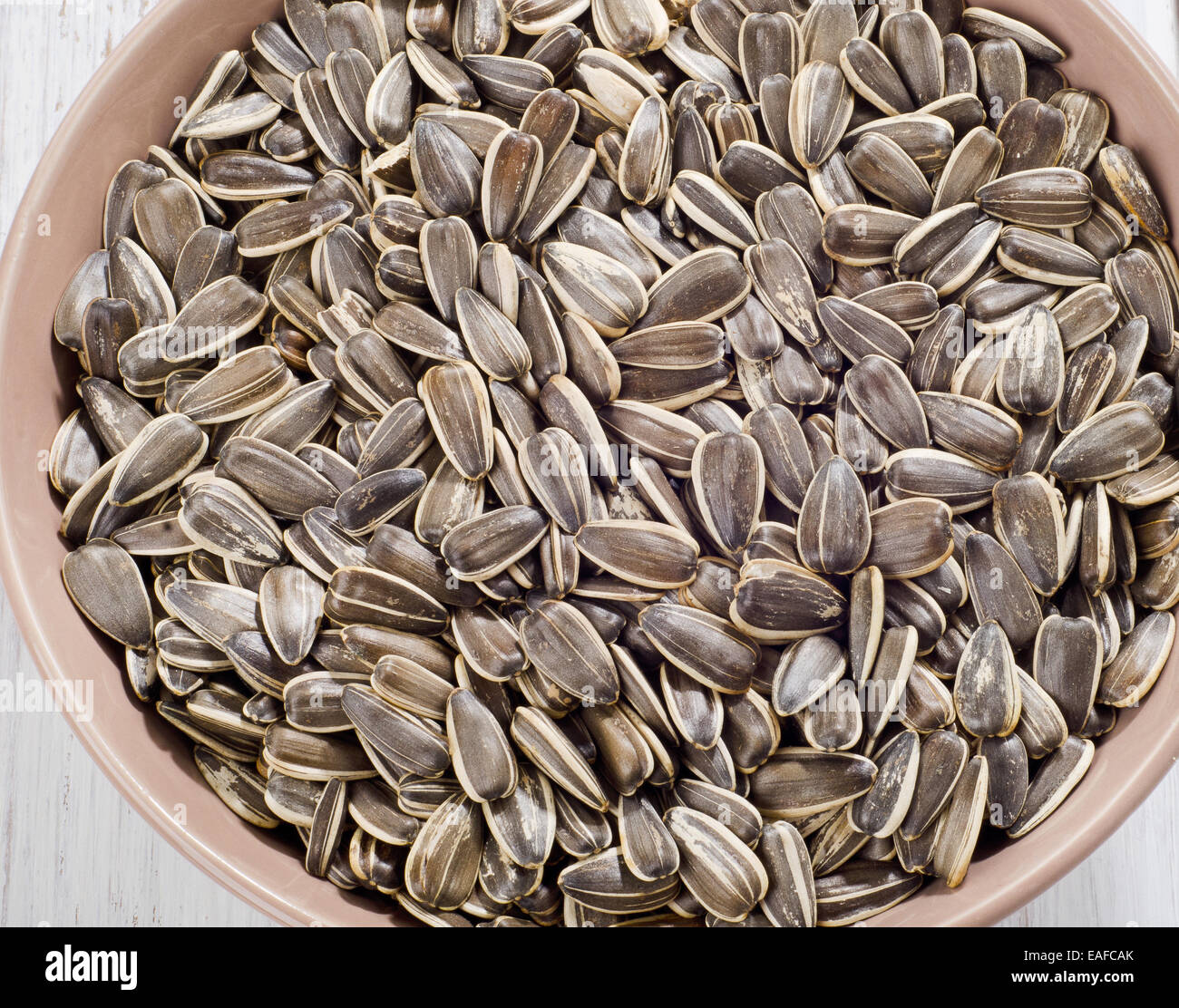 Seeds sunflower hi-res stock photography and images - Alamy