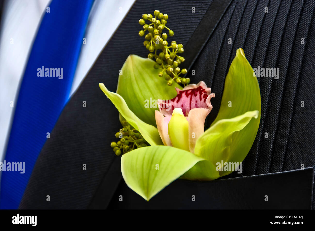Entourage black hi-res stock photography and images - Alamy