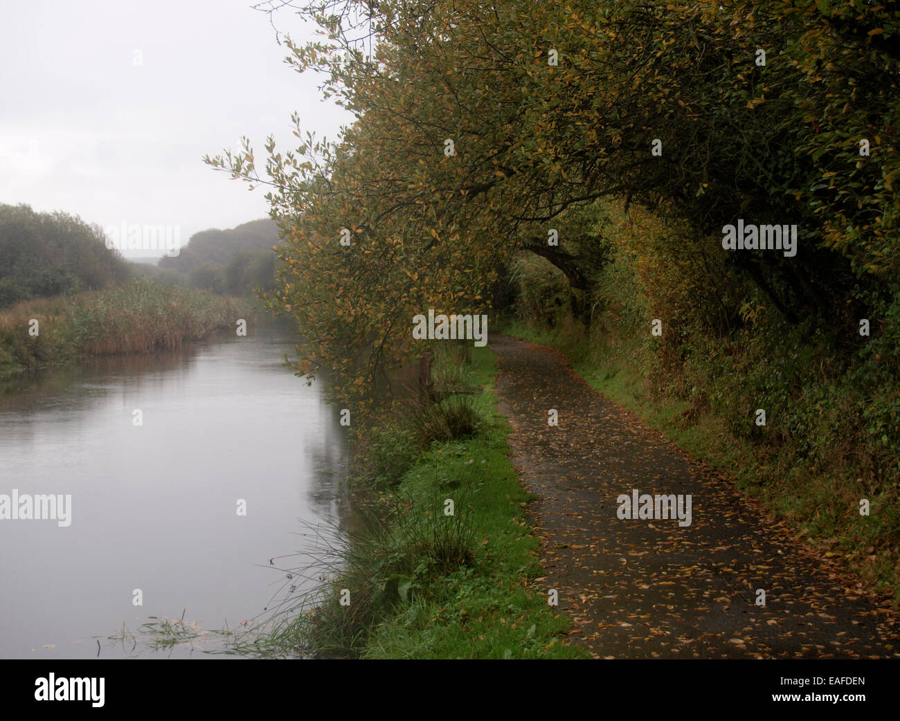 Misty and cold hi-res stock photography and images - Alamy