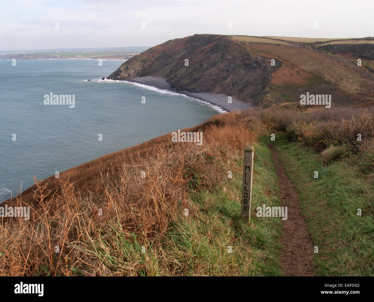 South West Coast Path National Trail, Millook, Bude, Cornwall, UK Stock ...