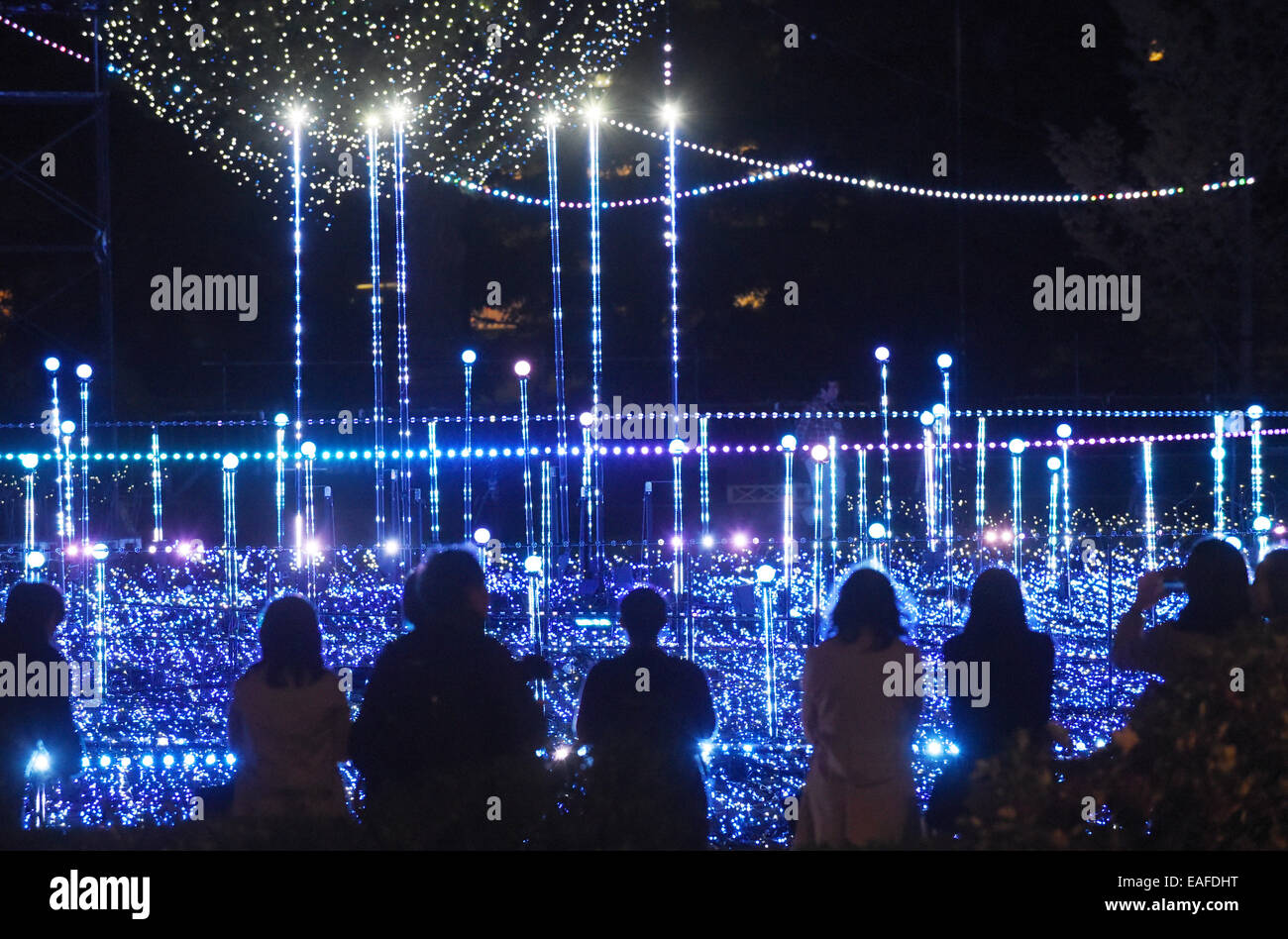Tokyo, Japan. 13th Nov, 2014. The Starlight Garden is brightly ...