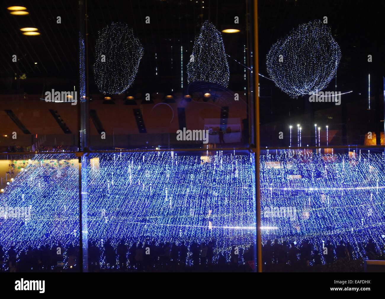 Tokyo, Japan. 13th Nov, 2014. The Starlight Garden is brightly ...