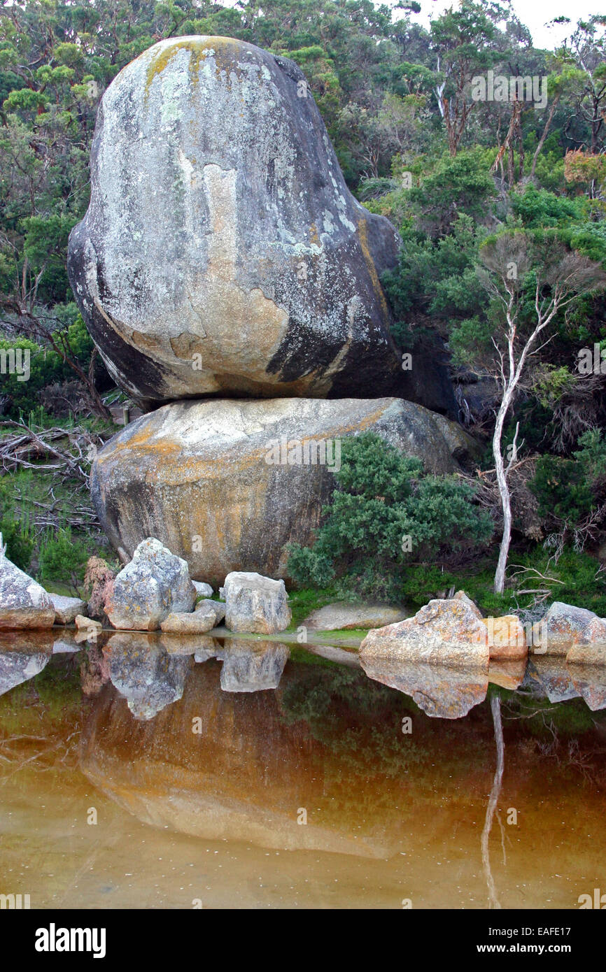 Whale rock tidal river wilsons hi-res stock photography and images - Alamy