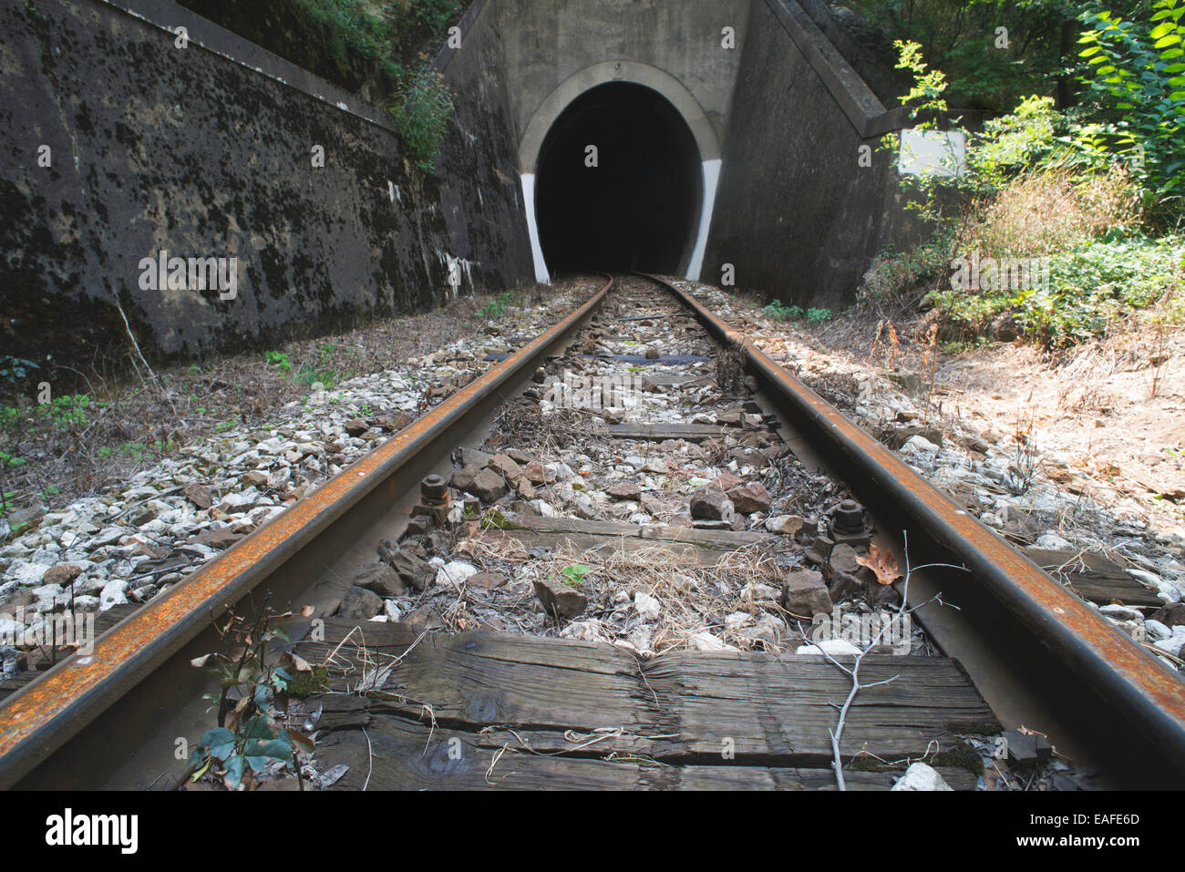 Railway tunnel entrance tracks hi-res stock photography and images - Alamy