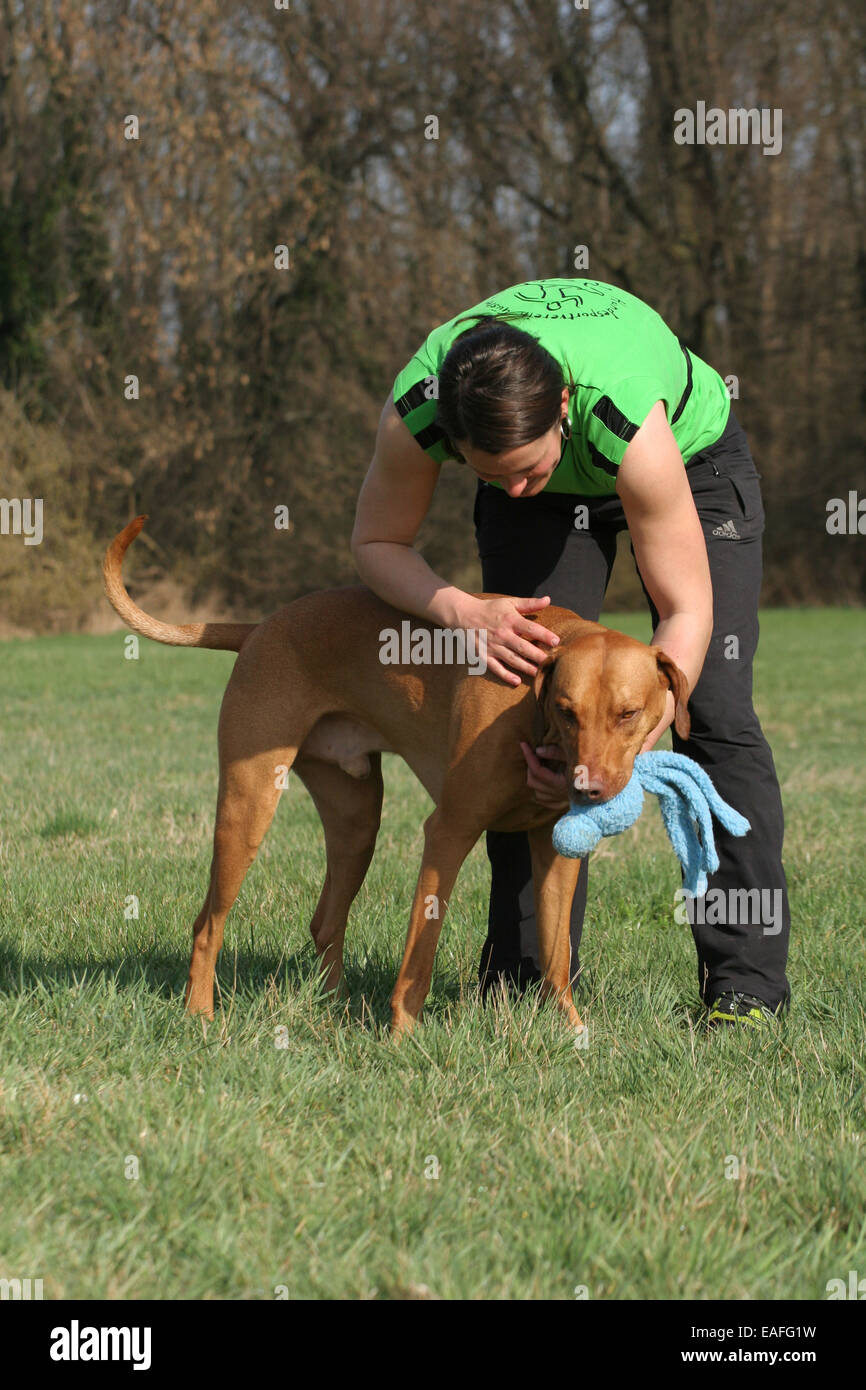 woman with Rhodesian Ridgeback Stock Photo - Alamy