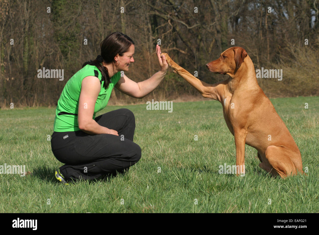 woman with Rhodesian Ridgeback Stock Photo - Alamy