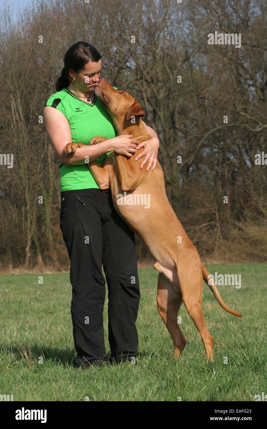 woman with Rhodesian Ridgeback Stock Photo - Alamy