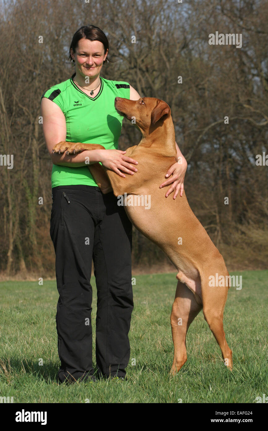 woman with Rhodesian Ridgeback Stock Photo - Alamy