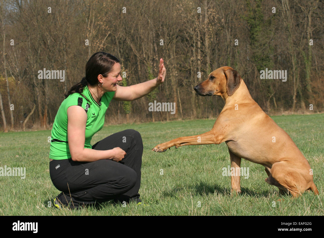 woman with Rhodesian Ridgeback Stock Photo - Alamy