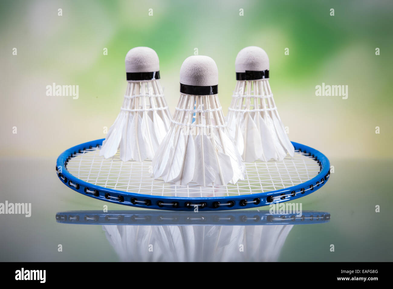 A set of badminton. Paddle and the shuttlecock. Studio shot Stock Photo ...
