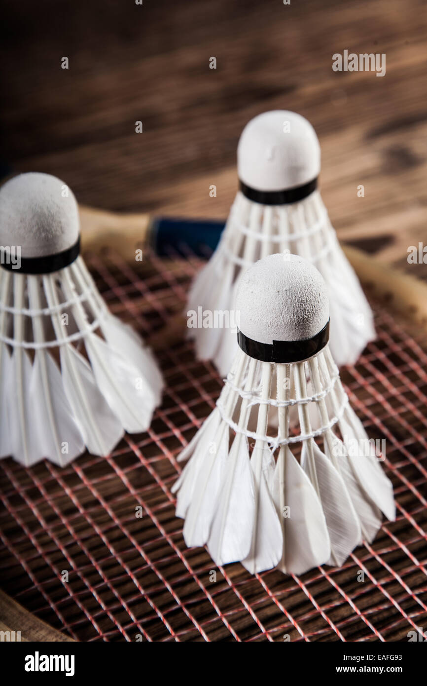 A set of badminton. Paddle and the shuttlecock. Studio shot Stock Photo ...
