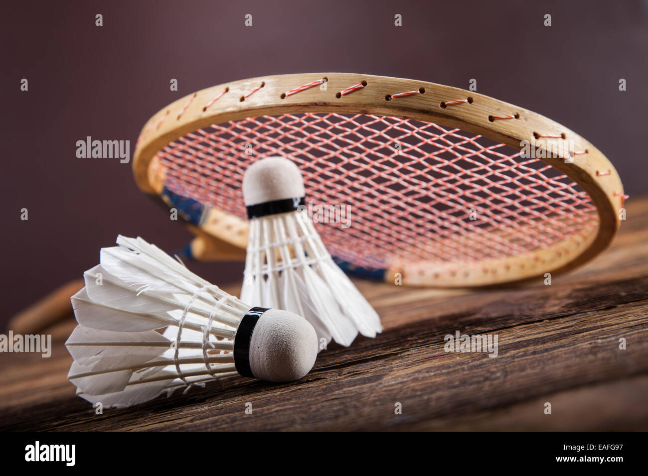 A set of badminton. Paddle and the shuttlecock. Studio shot Stock Photo ...