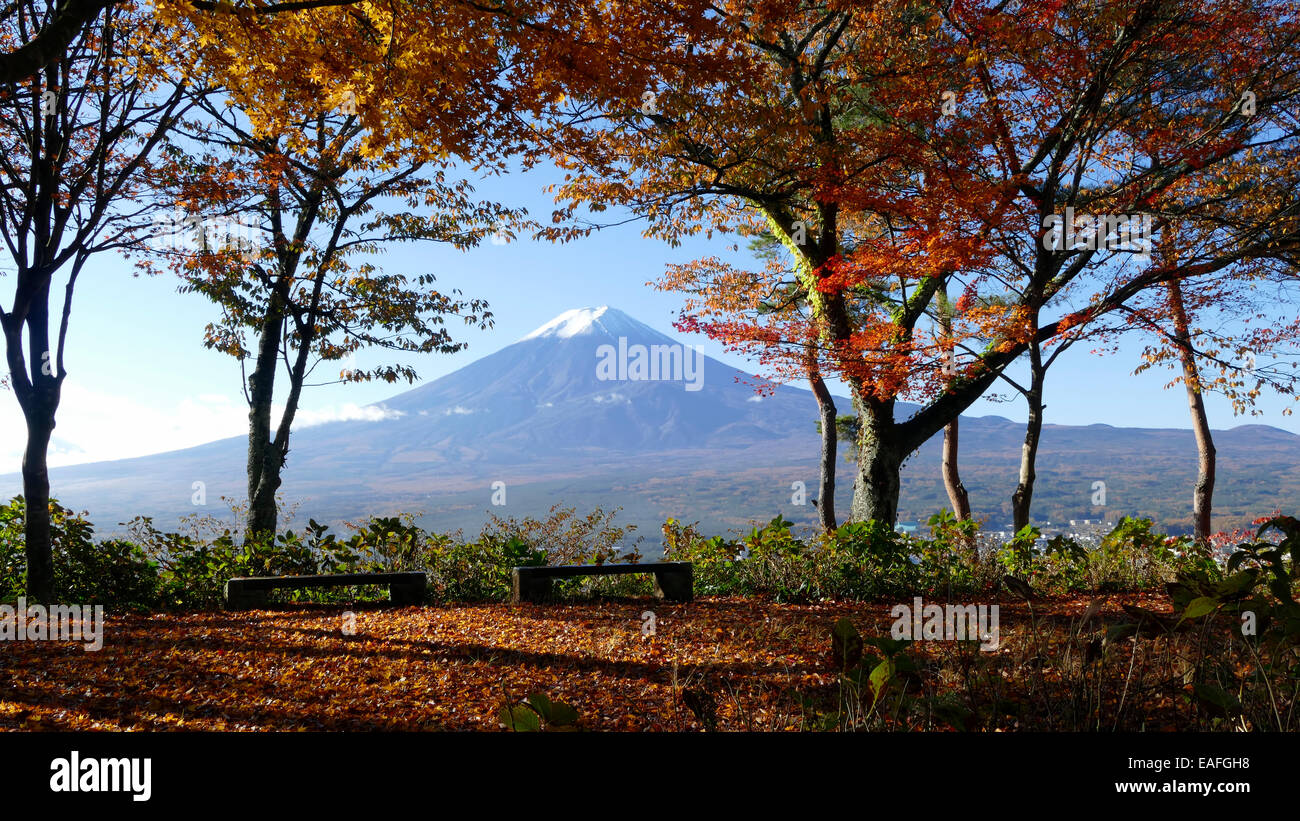 Mt. Fuji with fall colors in Japan for adv or others purpose use Stock ...
