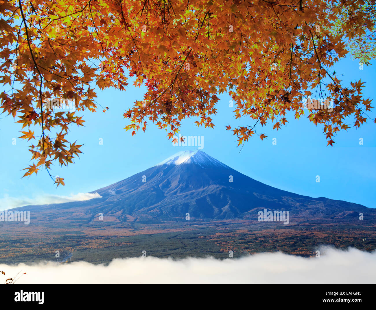 Mt. Fuji with fall colors in Japan for adv or others purpose use Stock ...