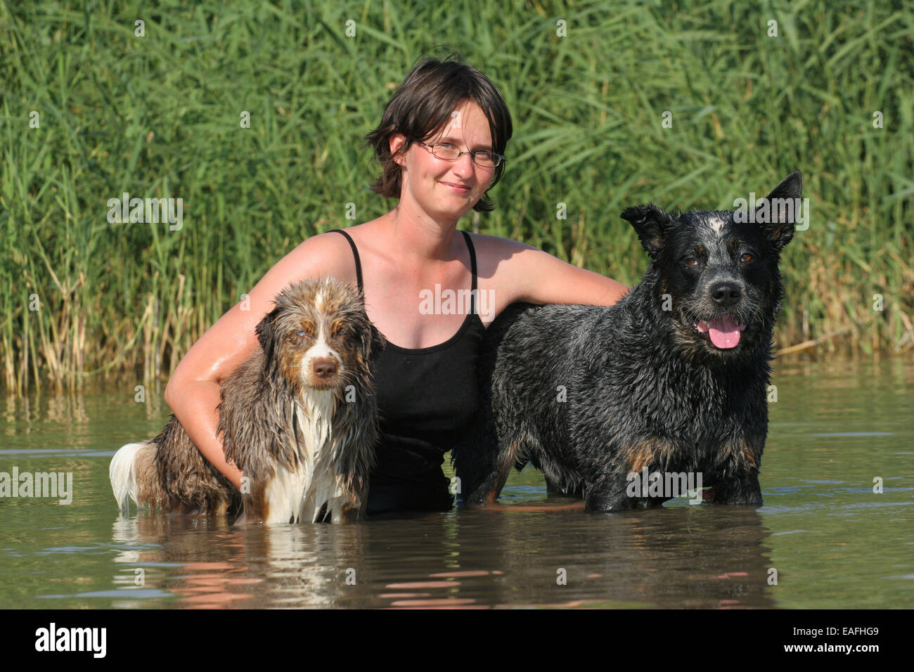 woman with 2 dogs Stock Photo - Alamy