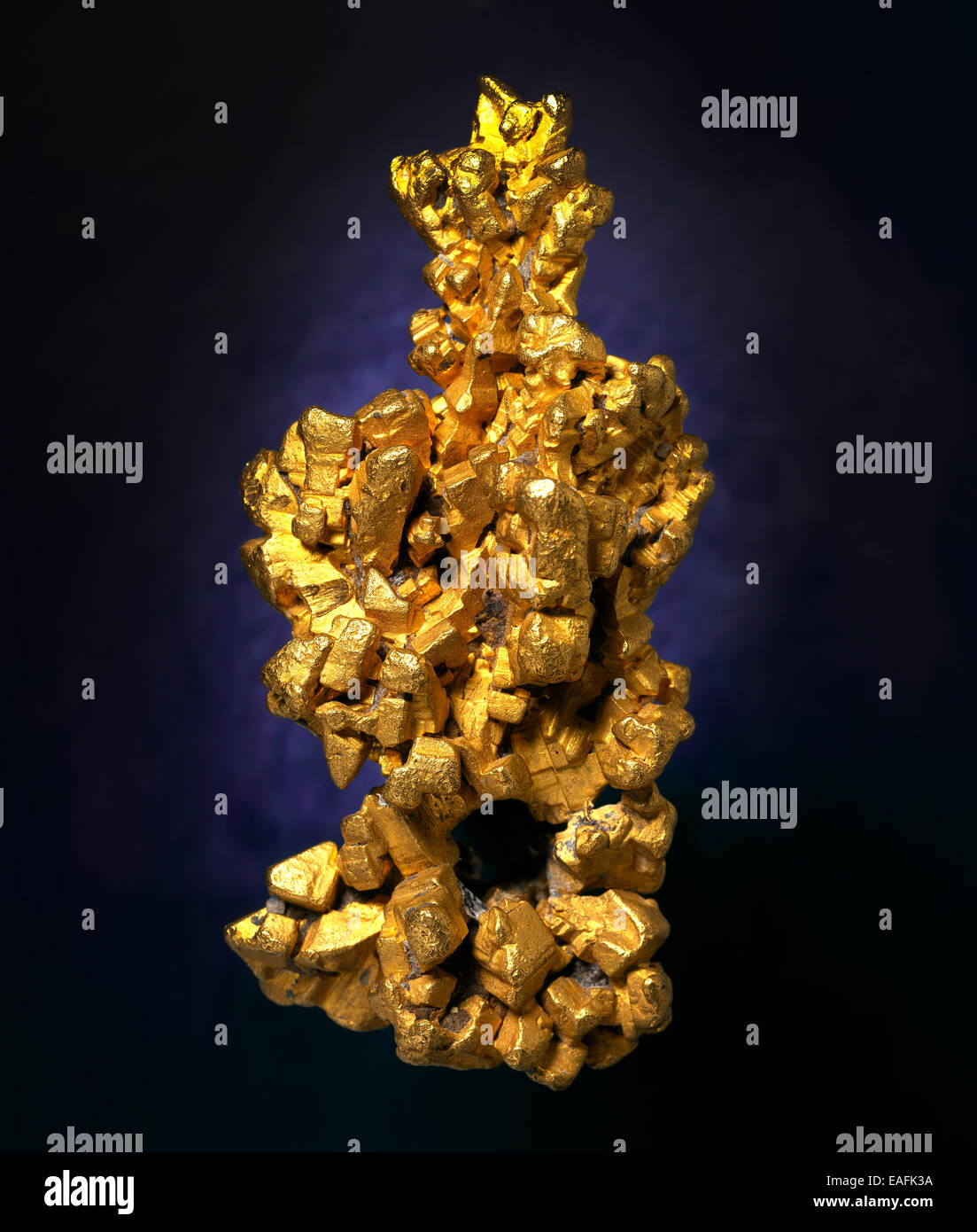 Gold nugget australia hi-res stock photography and images - Alamy