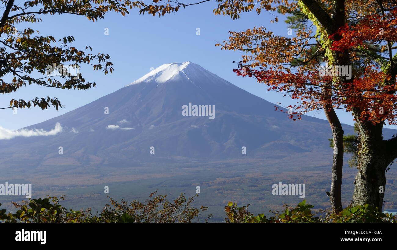Mt. Fuji with fall colors in Japan for adv or others purpose use Stock ...