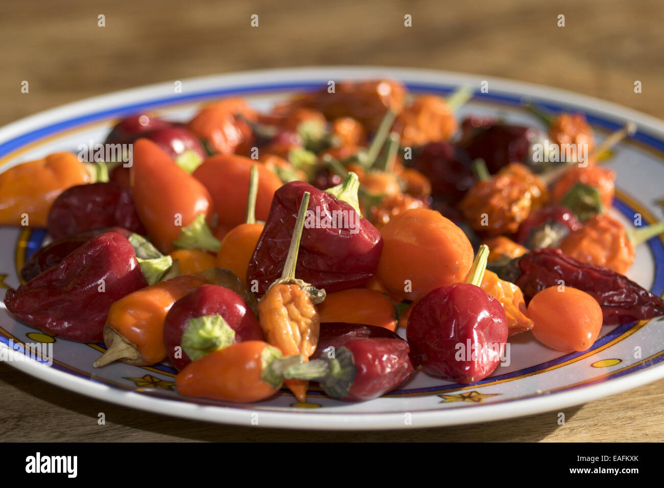 traditional calabrese produits: chili peppers Stock Photo - Alamy