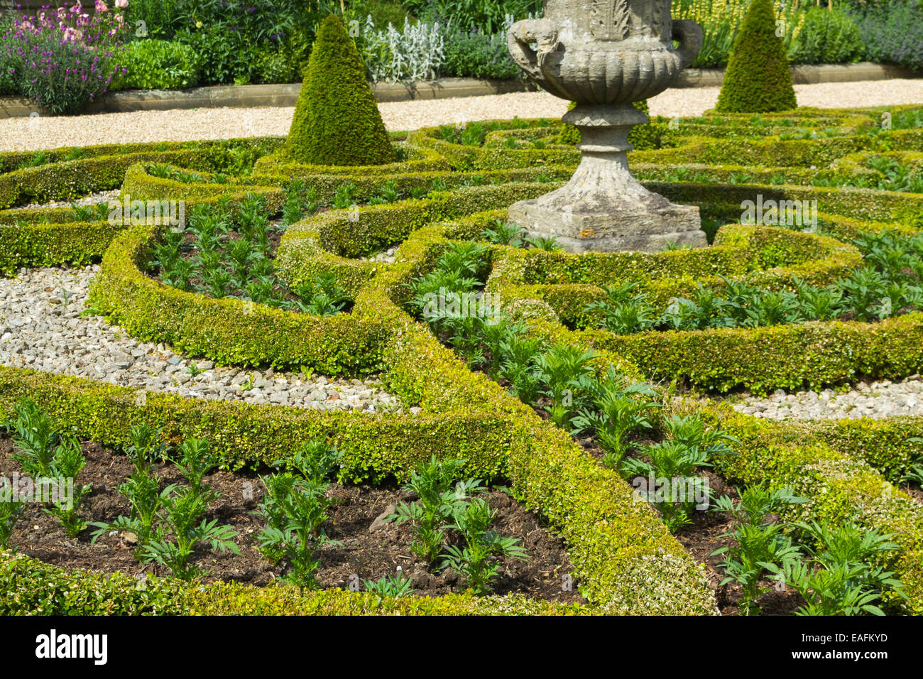 Beautiful geometrical design Formal garden Stock Photo - Alamy
