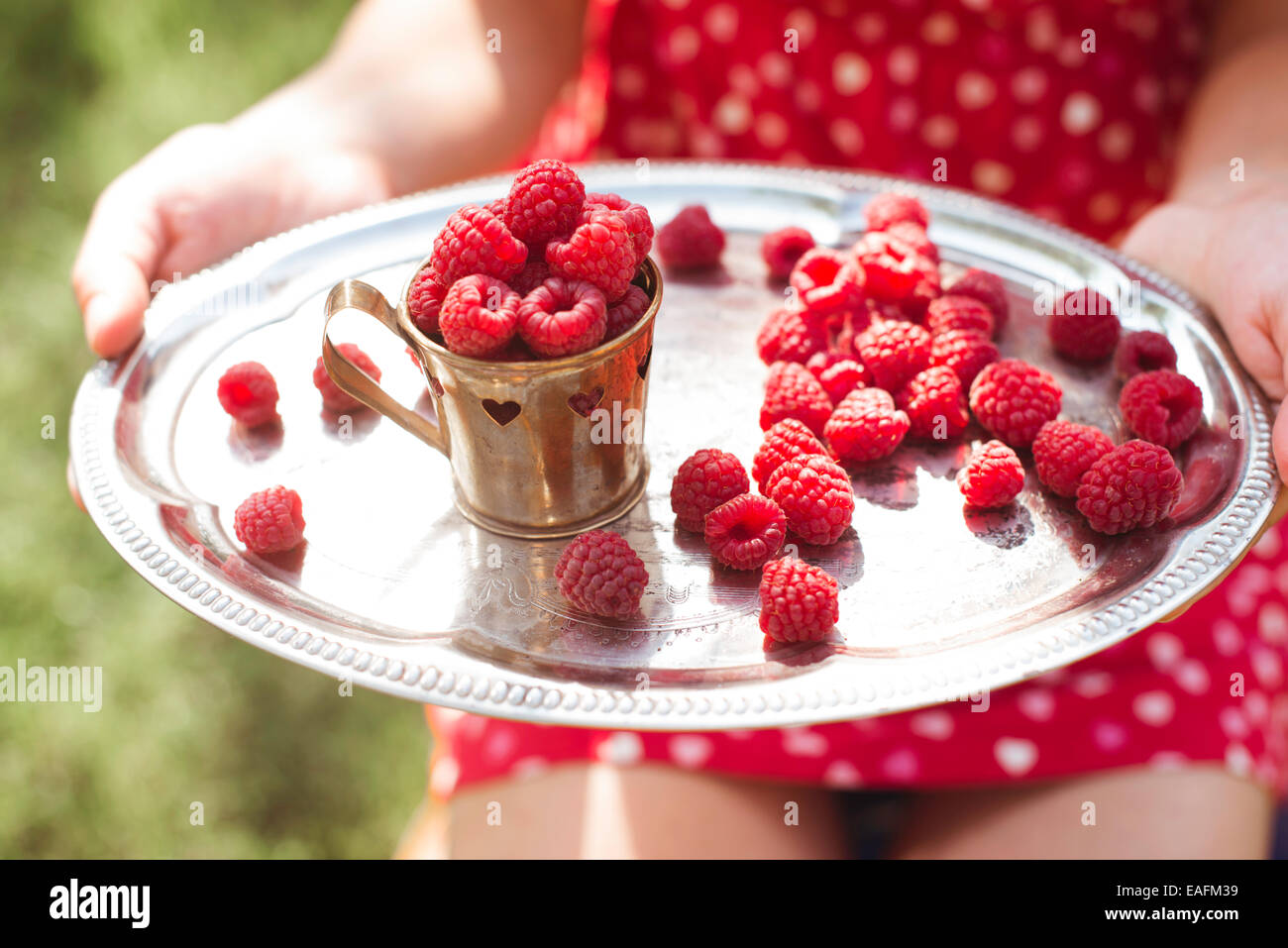 Woman in red dress holding a cup of raspberries Stock Photo - Alamy