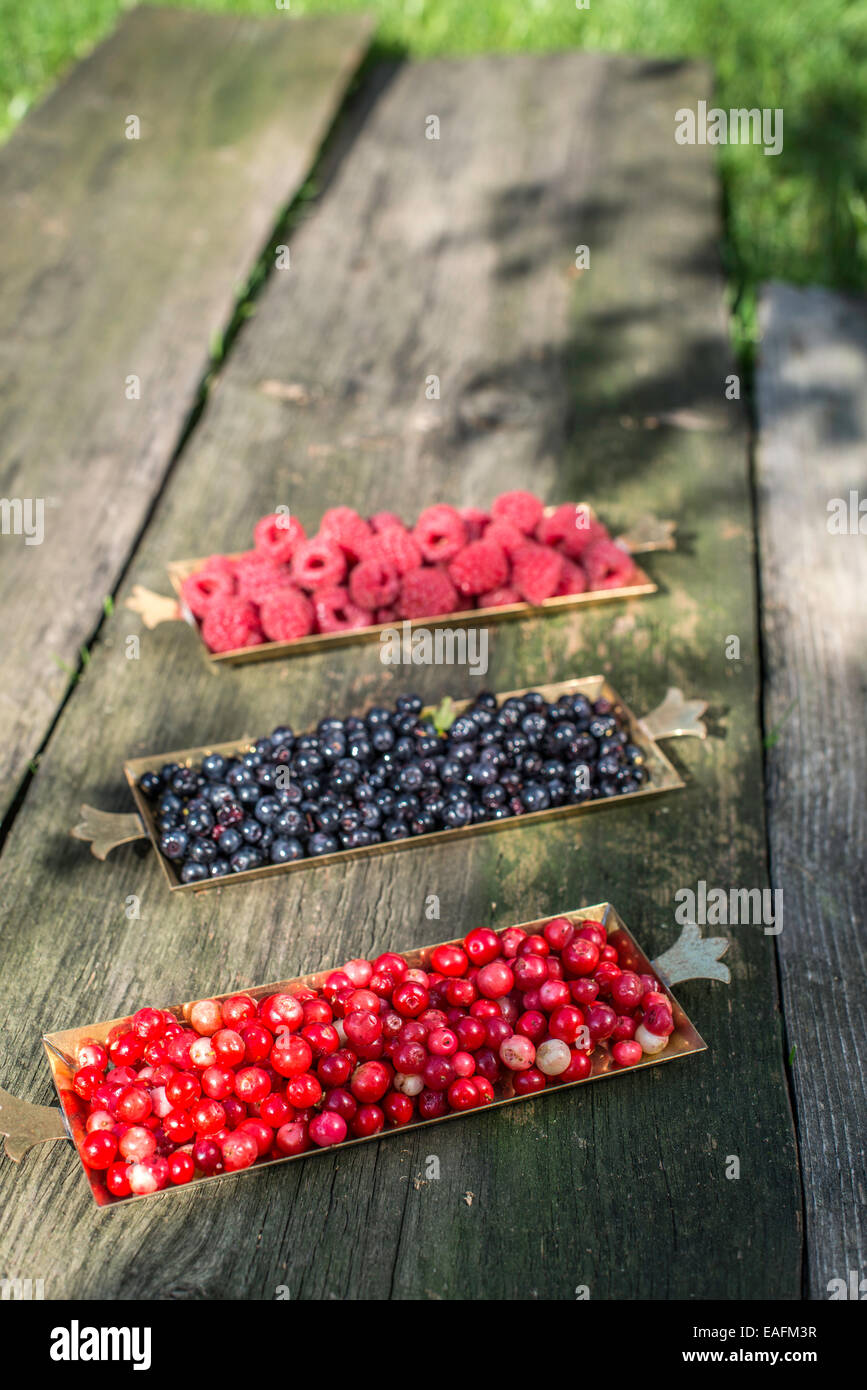 Red black raspberry blueberry in hi-res stock photography and images ...
