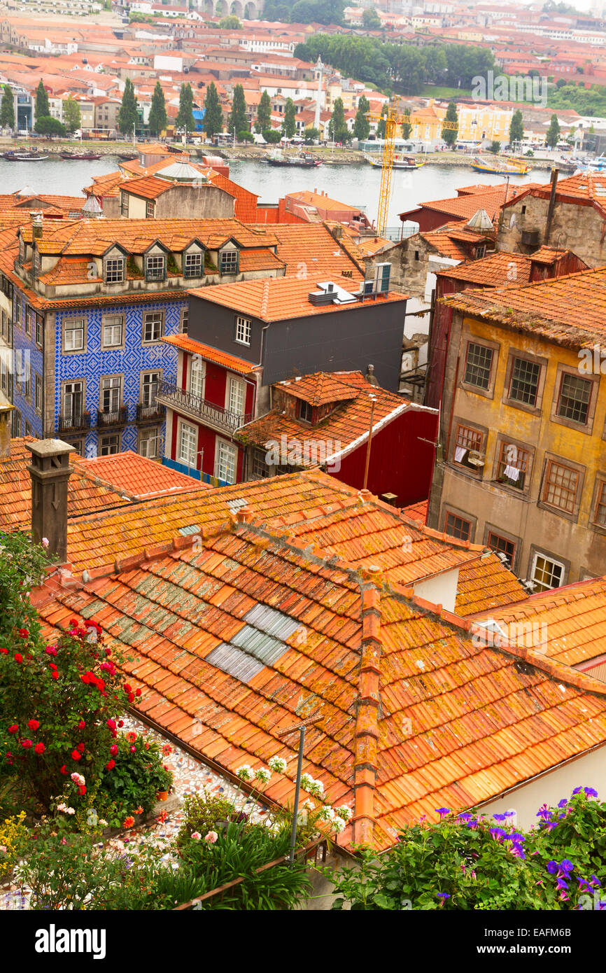 colorful houses in old town, Porto Stock Photo - Alamy