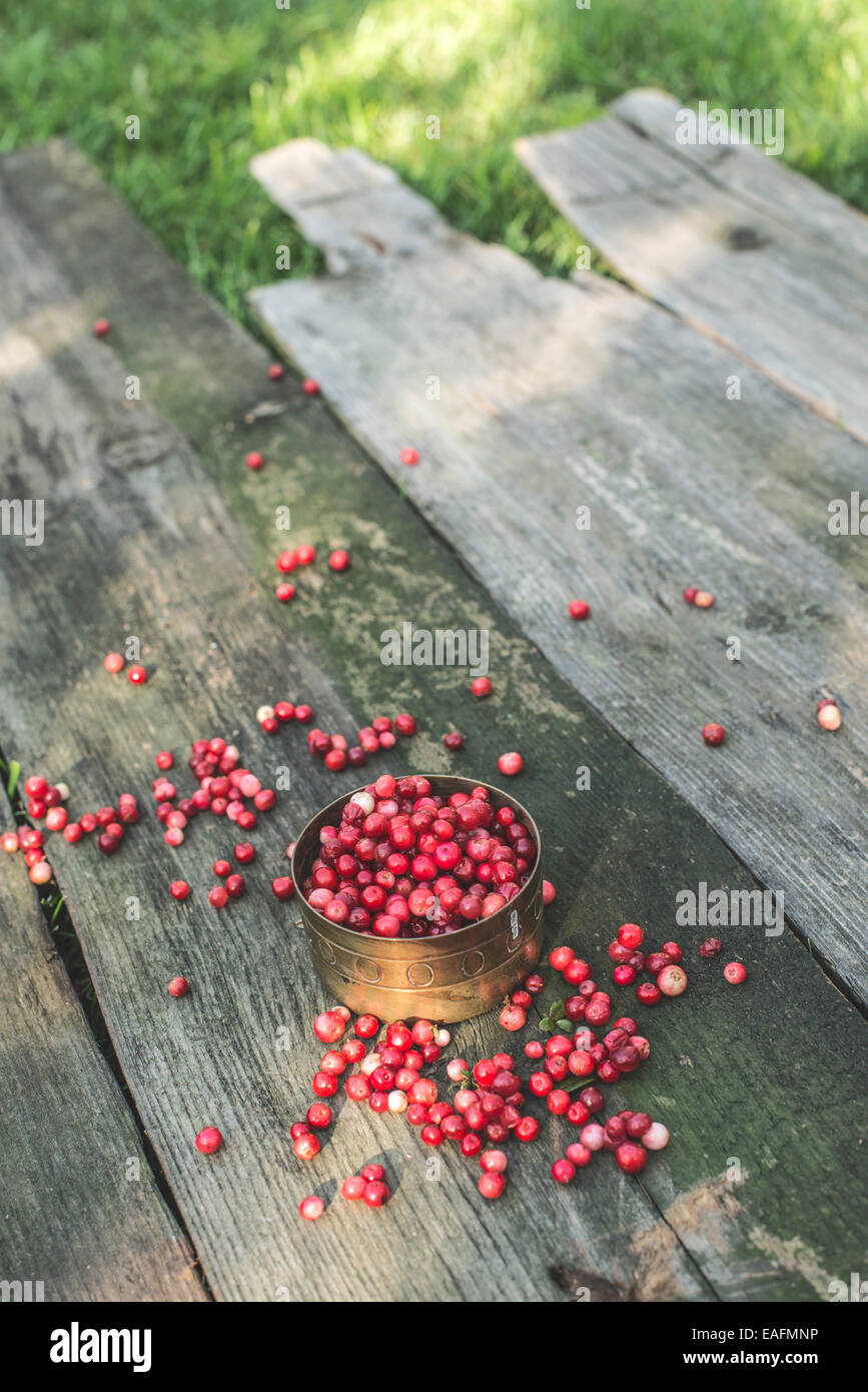 Cranberries on kitchen table hi-res stock photography and images - Alamy
