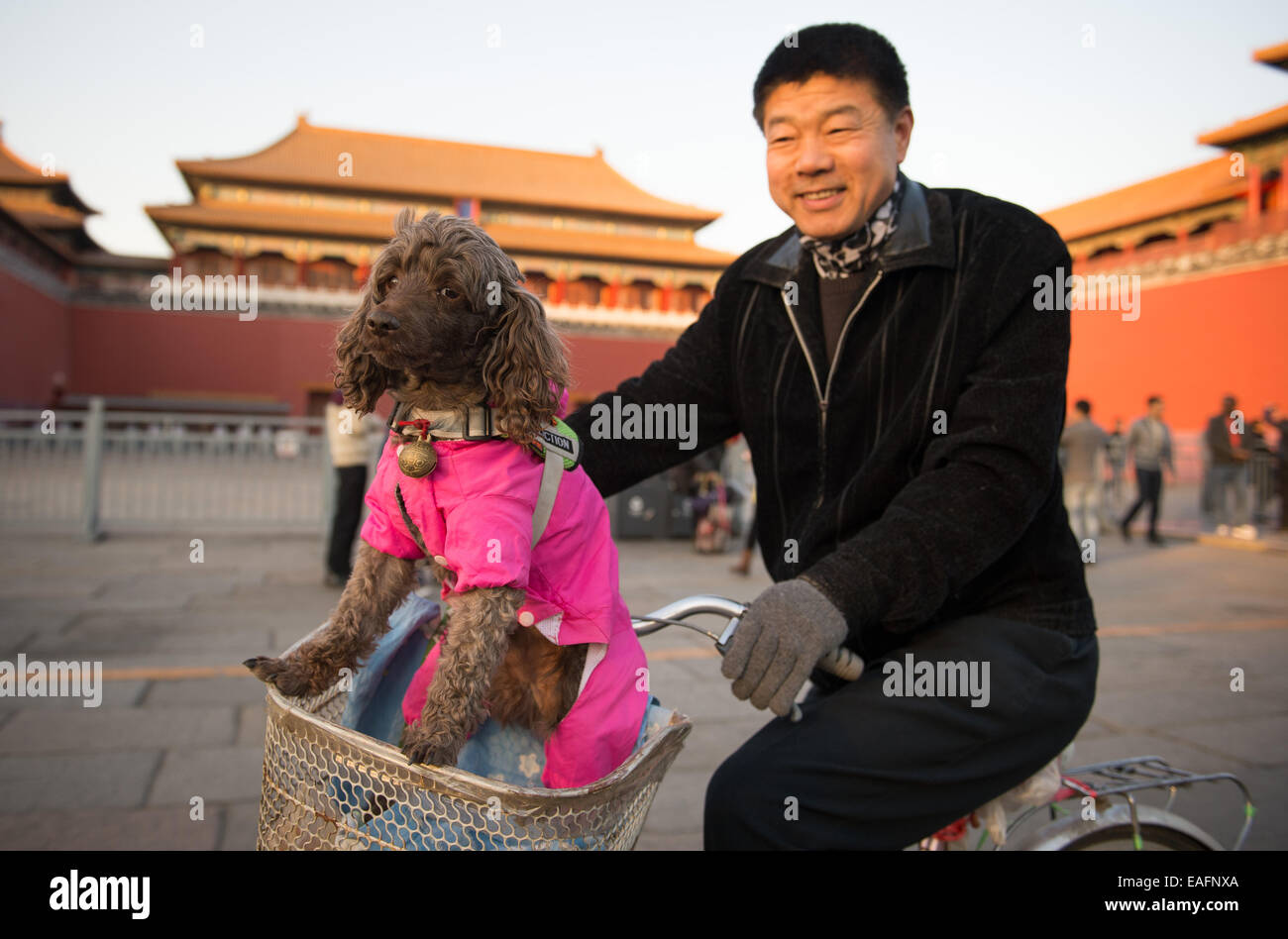 Beijing, China. 14th Nov, 2014. A Chinese man rides his bike with a ...