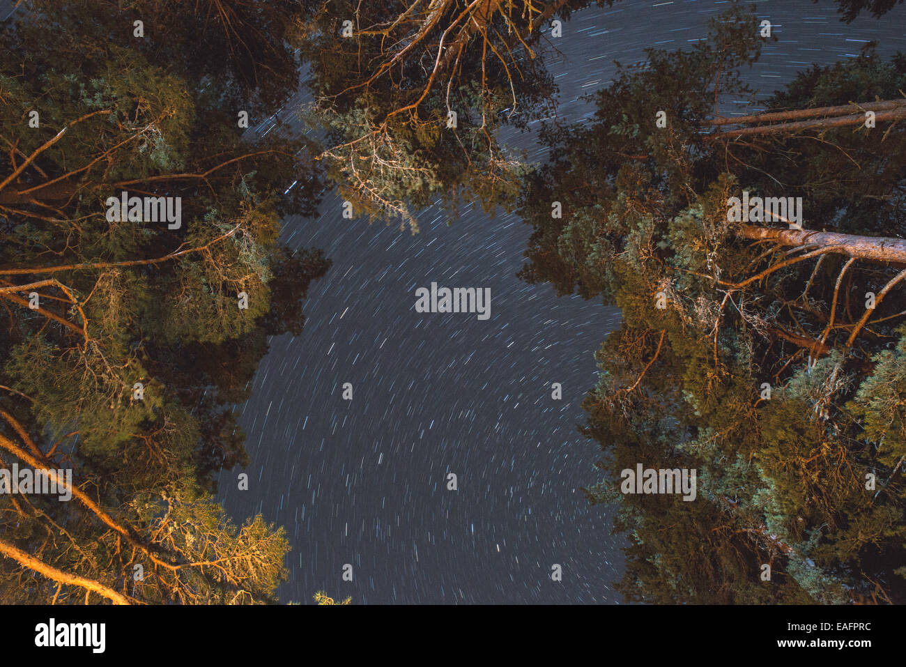 Stary night sky hi-res stock photography and images - Alamy