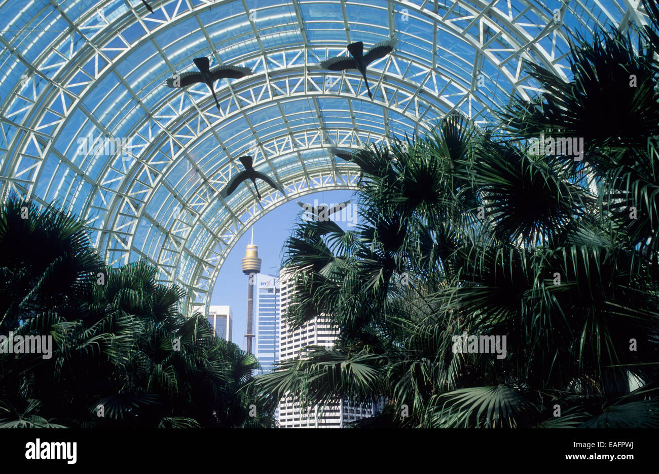 Australia, Sydney, Aviary Stock Photo - Alamy