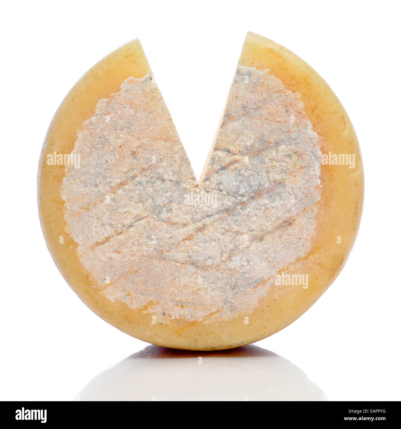 closeup of a cured cheese on a white background Stock Photo - Alamy