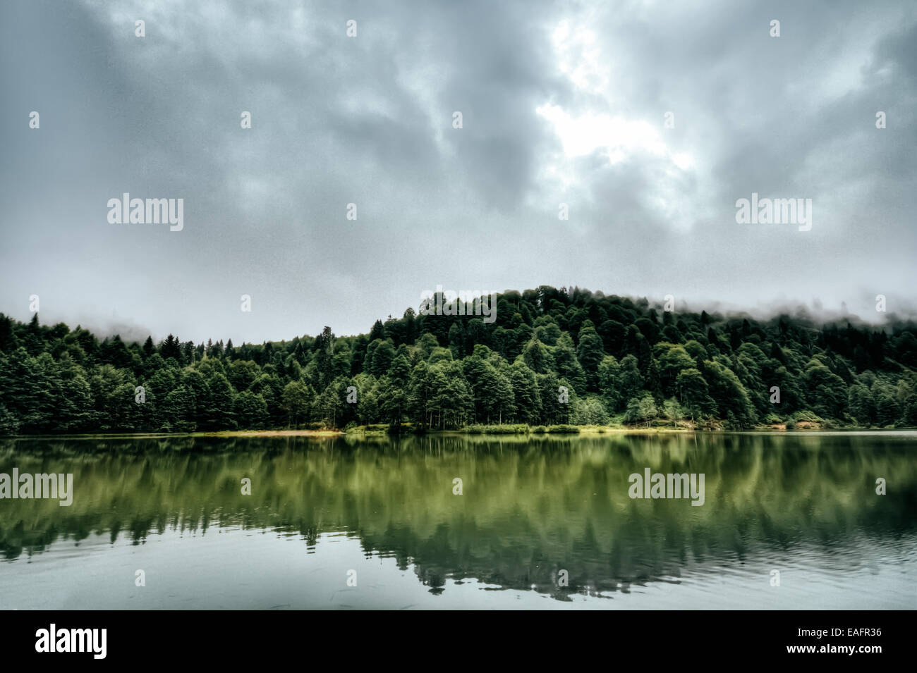 Calm tukey hi-res stock photography and images - Alamy