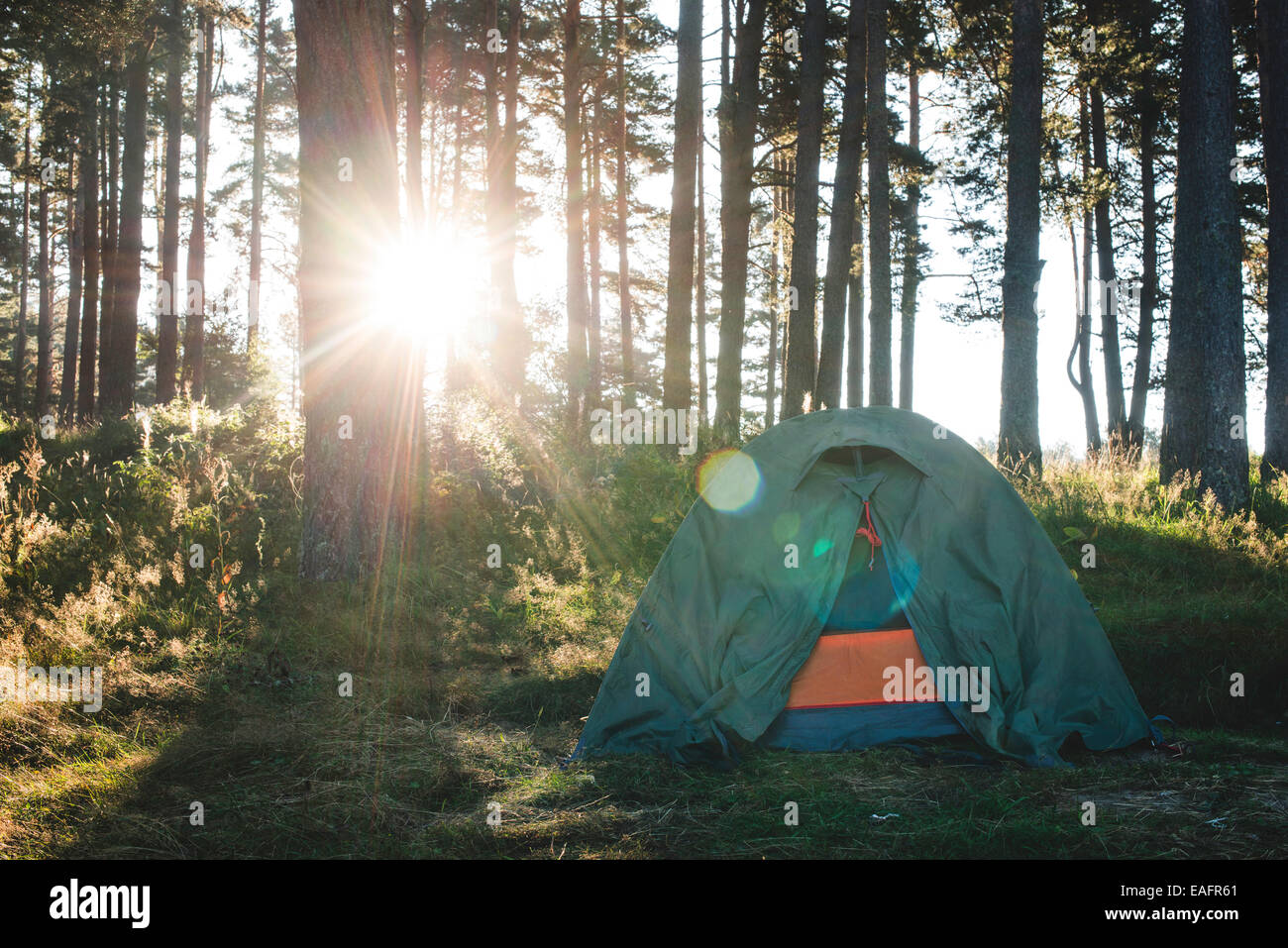 Tent in sunlight hi-res stock photography and images - Alamy