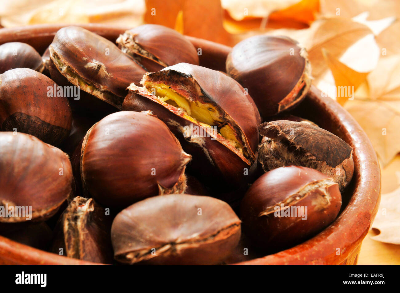 an earthenware bowl with roasted chestnuts and autumn leaves in the ...