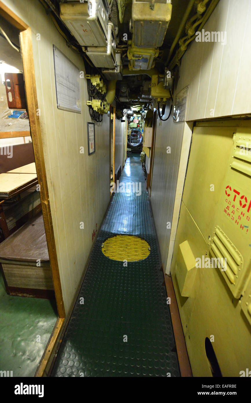 B-427 was a Project 641 (Foxtrot-class) diesel-electric attack ...