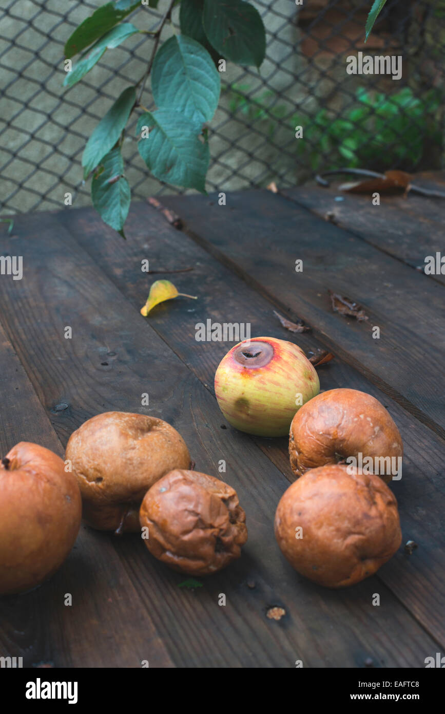 Good apple rotten apple hi-res stock photography and images - Alamy