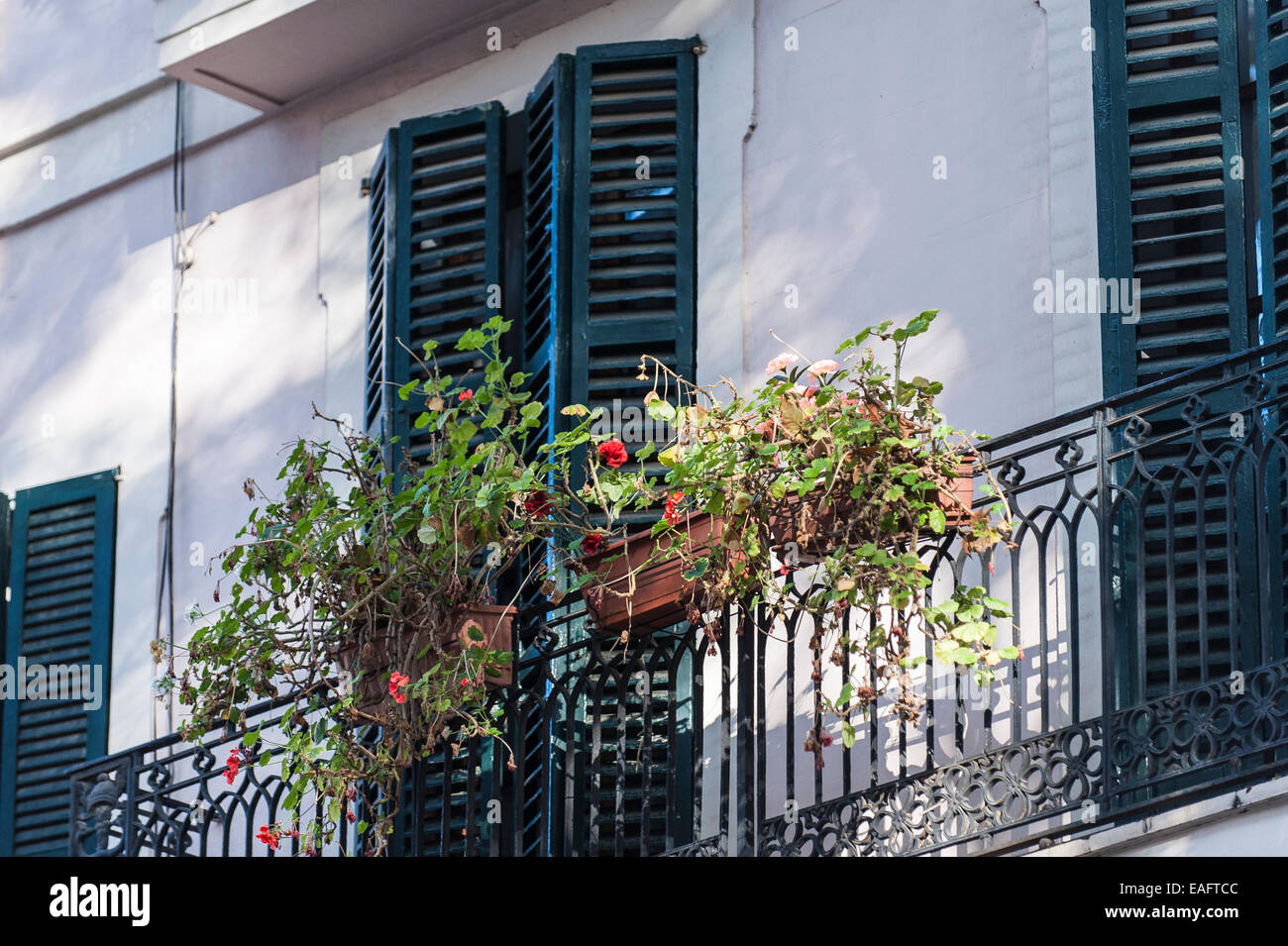 Balcony,Balkon,Street,Palma de Mallorca Stock Photo - Alamy