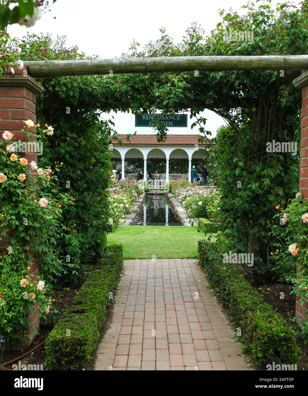 David Austin rose garden Albrighton Shropshire England UK Stock Photo ...