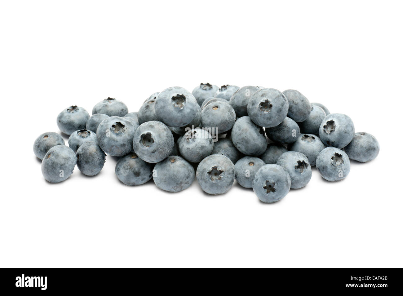 blueberries on white background Stock Photo - Alamy